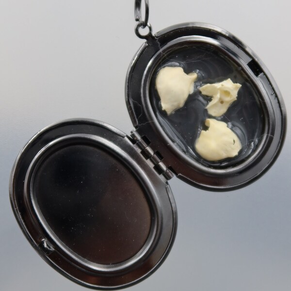 Weird Jewelry - Etsy