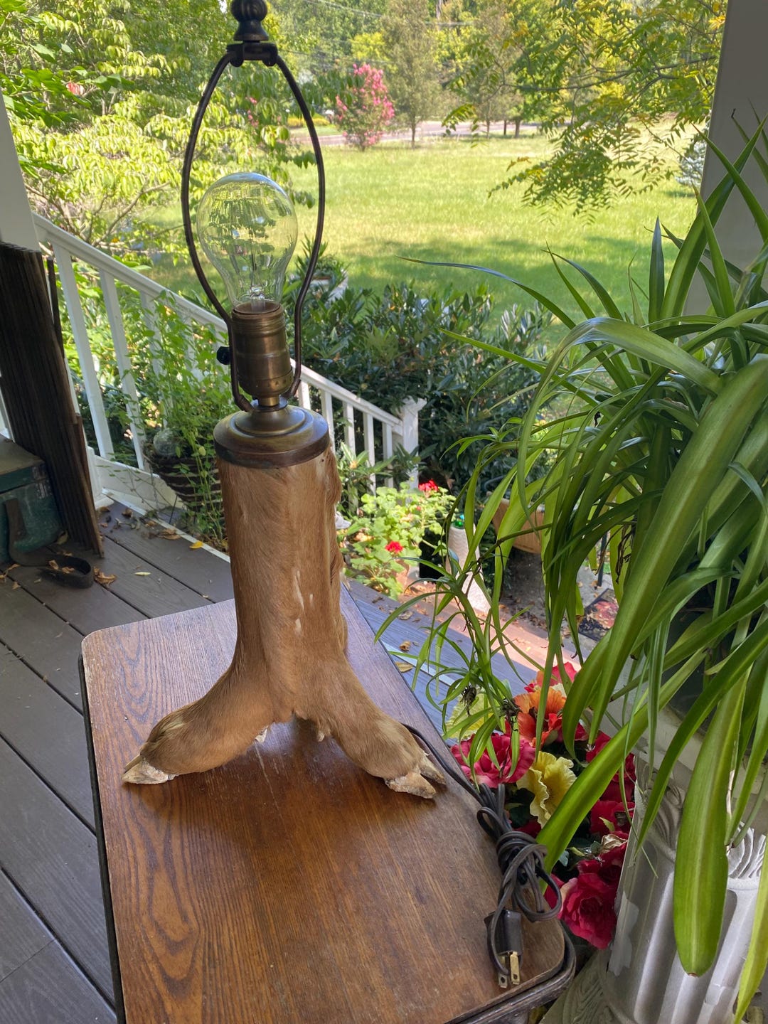 Antique Deer Hoof Lamp / Deer Hoof Leg Light/ Vintage Taxtdermy Deer ...