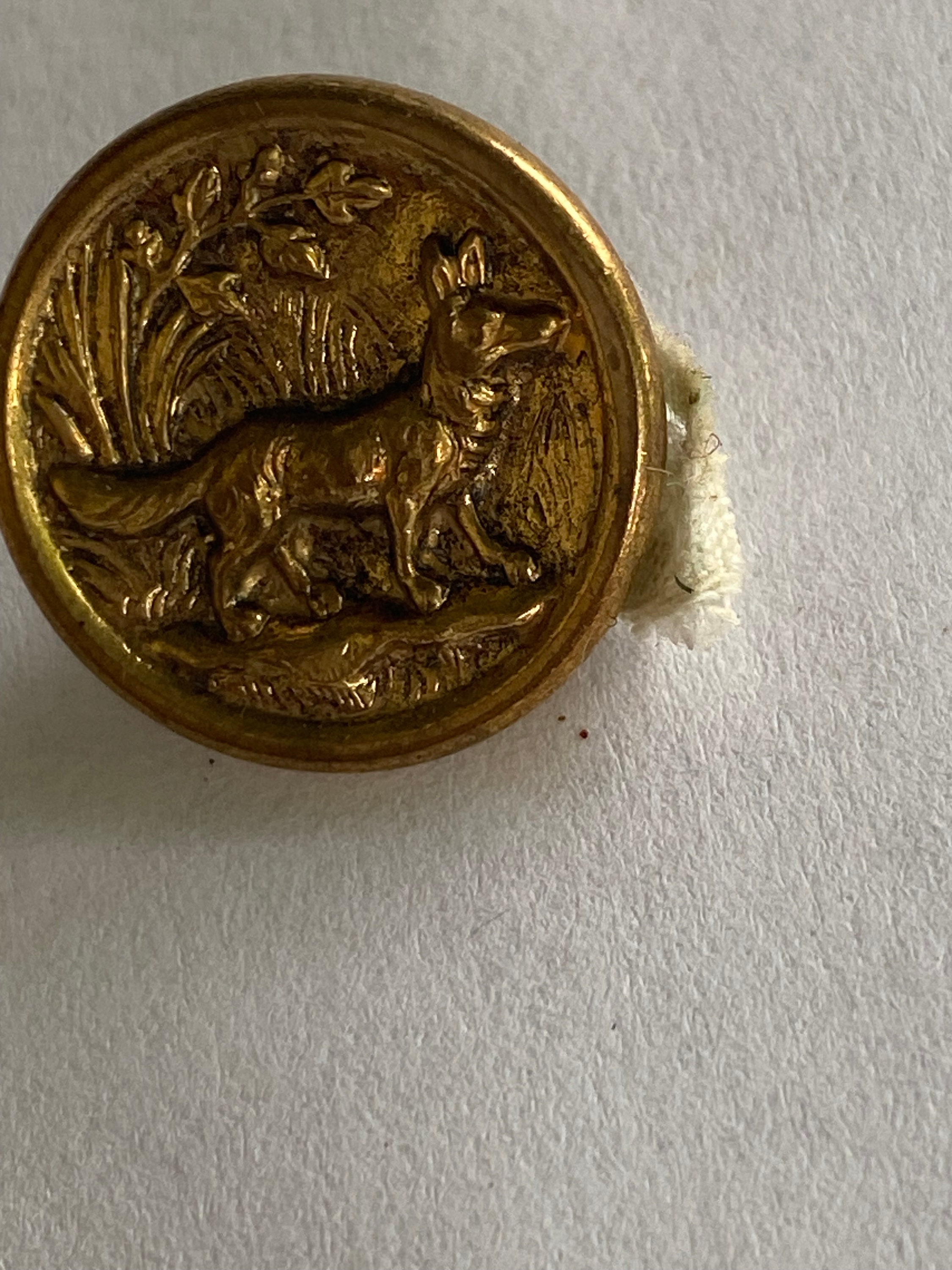 Antique French Brass Hunt Button, With Fox Scene - Etsy