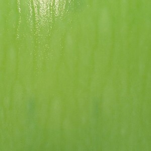 Wissmach COE 96 Glass Olive Green Opaque - Etsy