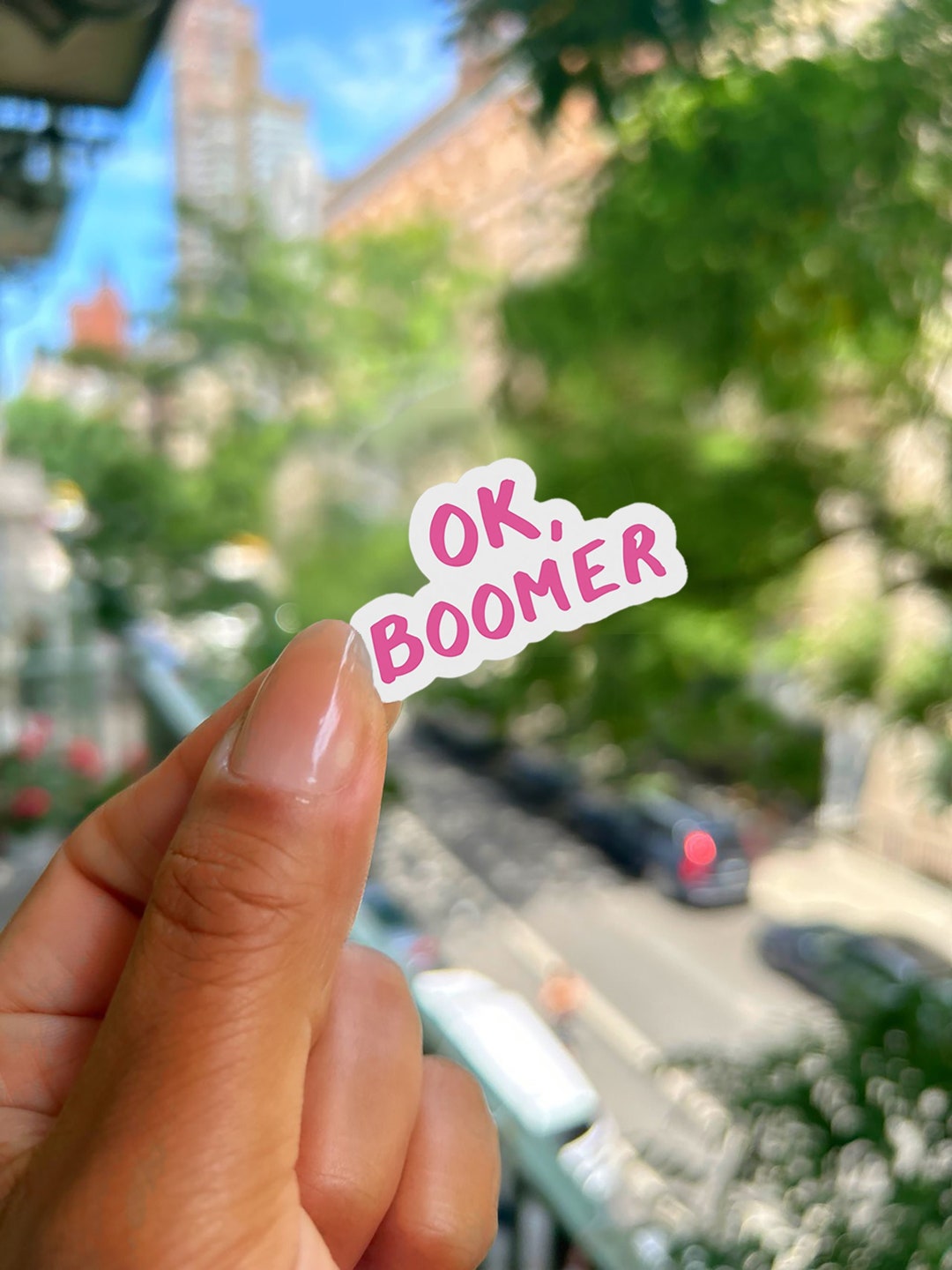 Ok Boomer, Vinyl Sticker, Die Cut Phrase Sticker, Snarky Laptop Decal ...
