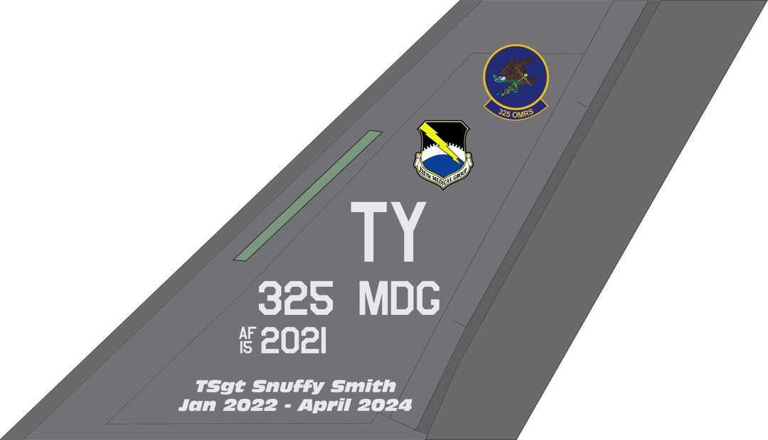 F-35 325FW Tyndall AFB Aircraft Tail Flash Panel - Etsy