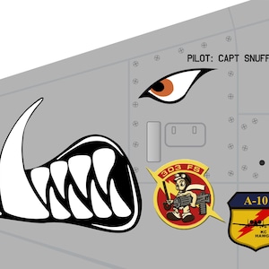 A-10 Warthog 303FS Aircraft Nose Art Panel - Etsy