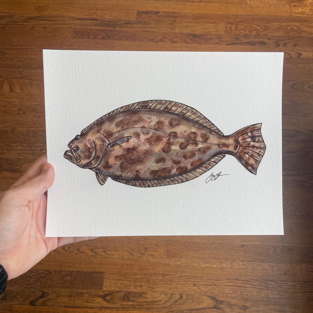 Flounder Art Print, 8.5”x11" Wall Art, Giclee, Gift for Fisherman ...