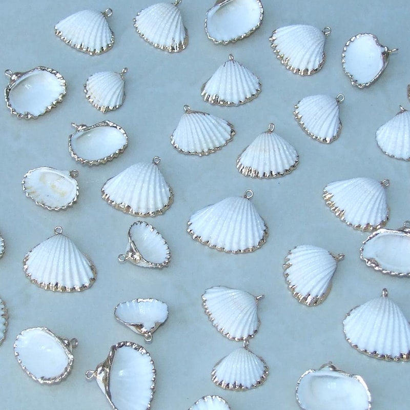 Clam Shell Beads - Etsy