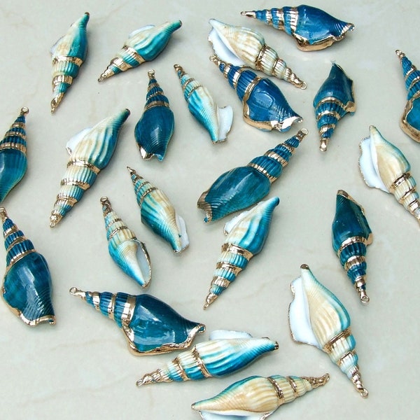 Spiral Cone Shell - Etsy