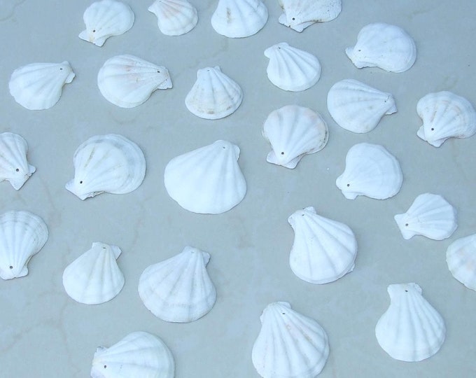 20 Natural Sea Shell, Mostly White, Sea Shell Bead, Seashell Pendant ...