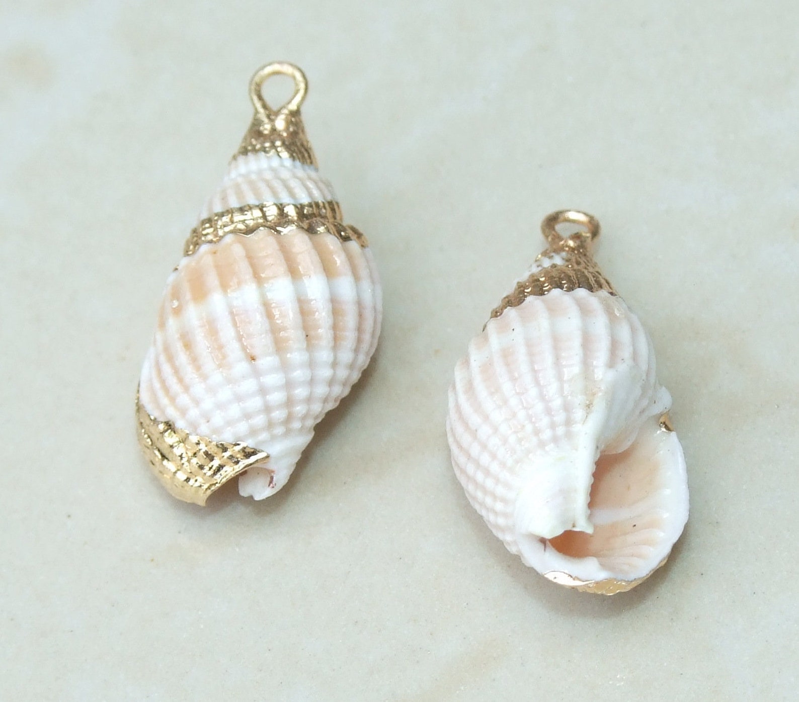 Pair Small Natural Gold Edge Seashell Pendants, Spiral Shell Bead ...