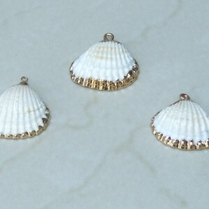Small Gold and Silver Edge Natural Seashell, Sea Shell Pendant, Clam ...