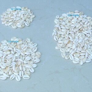 Small Cowrie Shells Bulk – Natural African Sea Shells for Jewelry ...