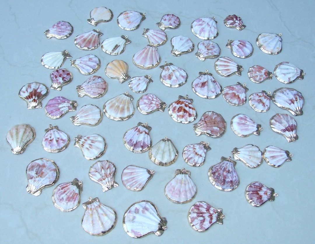 Natural Scallop Shell Pendant, Gold Edge Loop, Natural Seashell, Deep ...