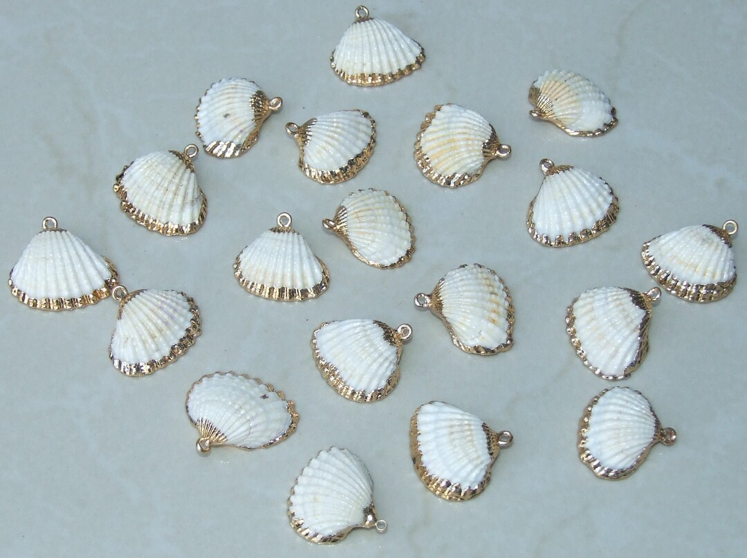 Small Gold and Silver Edge Natural Seashell, Sea Shell Pendant, Clam ...