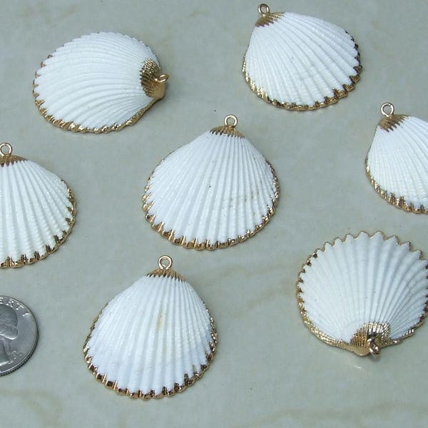 Sea Shell Pendant - Etsy
