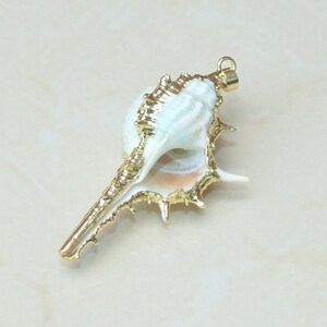 Gold Leaf Murex Seashell Pendant, Spiral Shell Bead, Beach Decor (35 ...