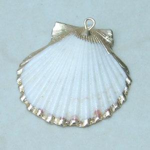 Natural Scallop Shell Pendant, Gold Edge Loop, Seashell Pendant ...