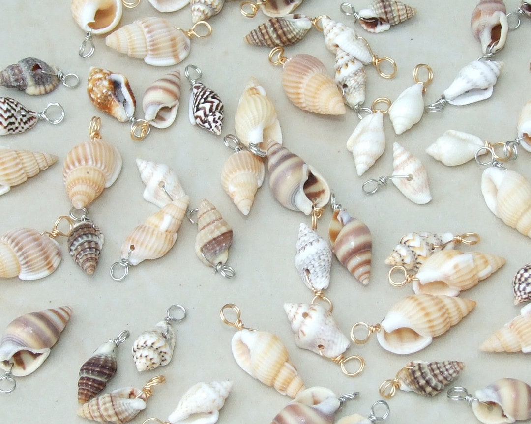 Ten Small Natural Spiral Seashell Pendants, Spiral Shell Bead, Seashell ...