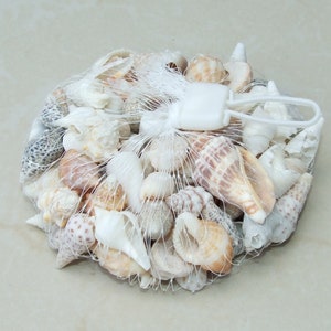 Net Full of Shells, Mixed Natural Seashells, Spiral Shells, Clam Shells, Scallop Shells ...