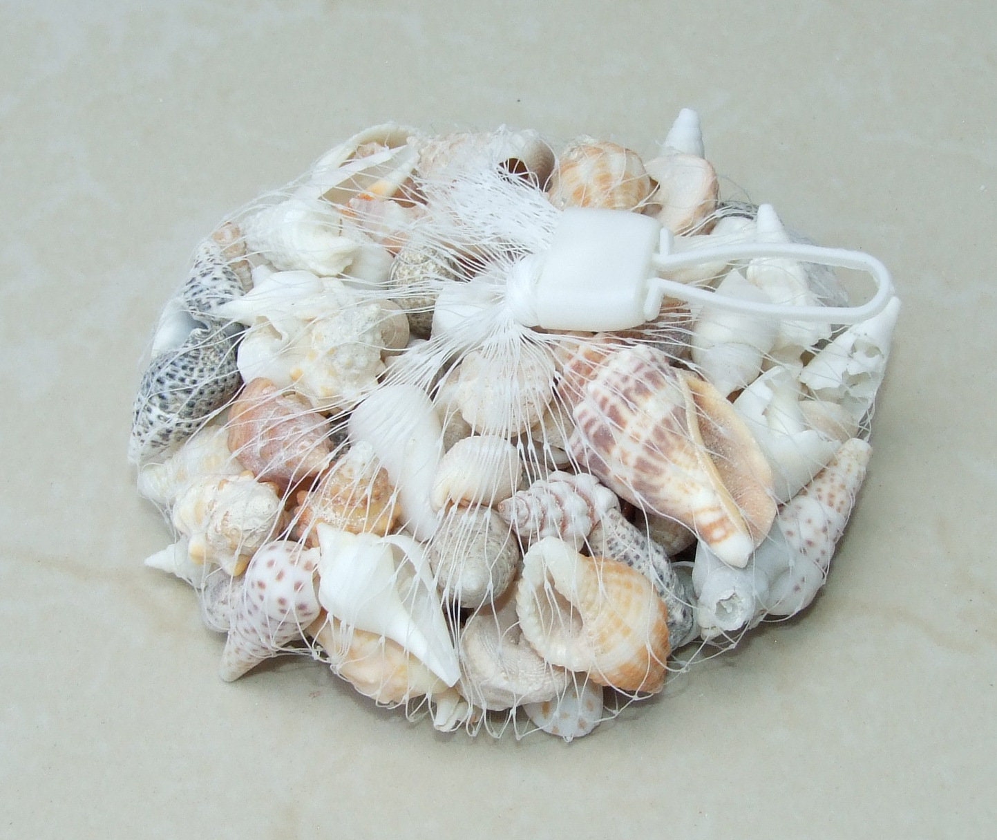 Net Full of Shells Mixed Natural Seashells Spiral Shells - Etsy