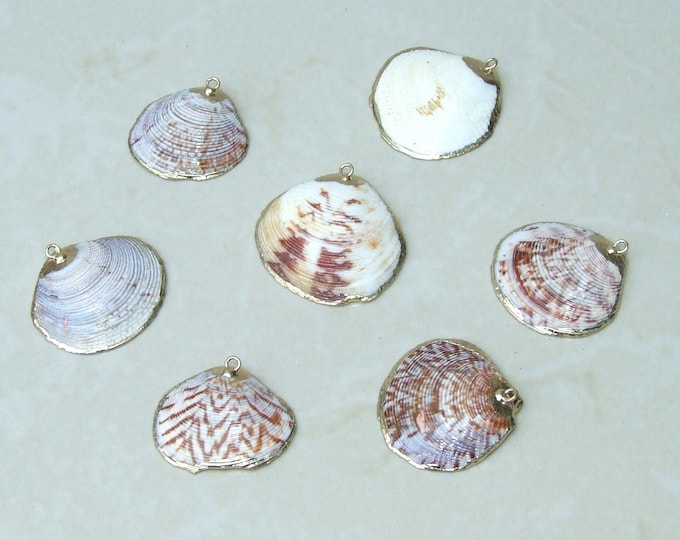 Natural Clam Shell Pendant, Gold Edge Loop, Natural Seashell, Deep Sea ...