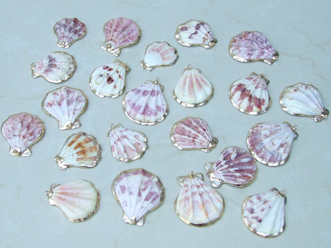 Natural Scallop Shell Pendant, Gold Edge Loop, Natural Seashell, Deep ...
