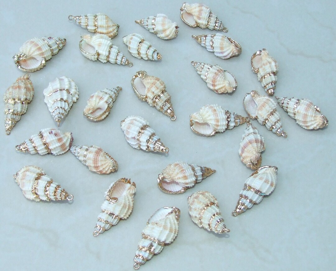 Natural Gold Edge Spiral Sea Shell Pendant, Spiral Shell Bead, Seashell ...