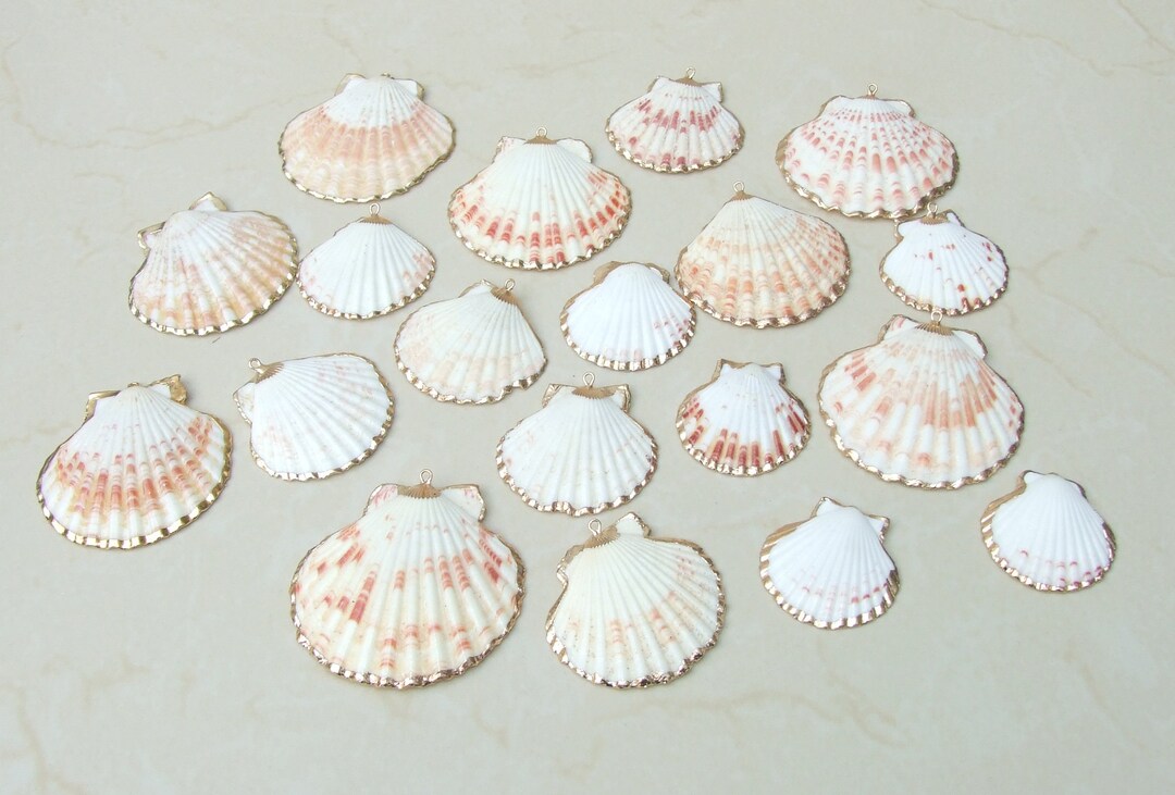 Natural Scallop Shell Pendant, Gold Edge Loop, Seashell Pendant ...