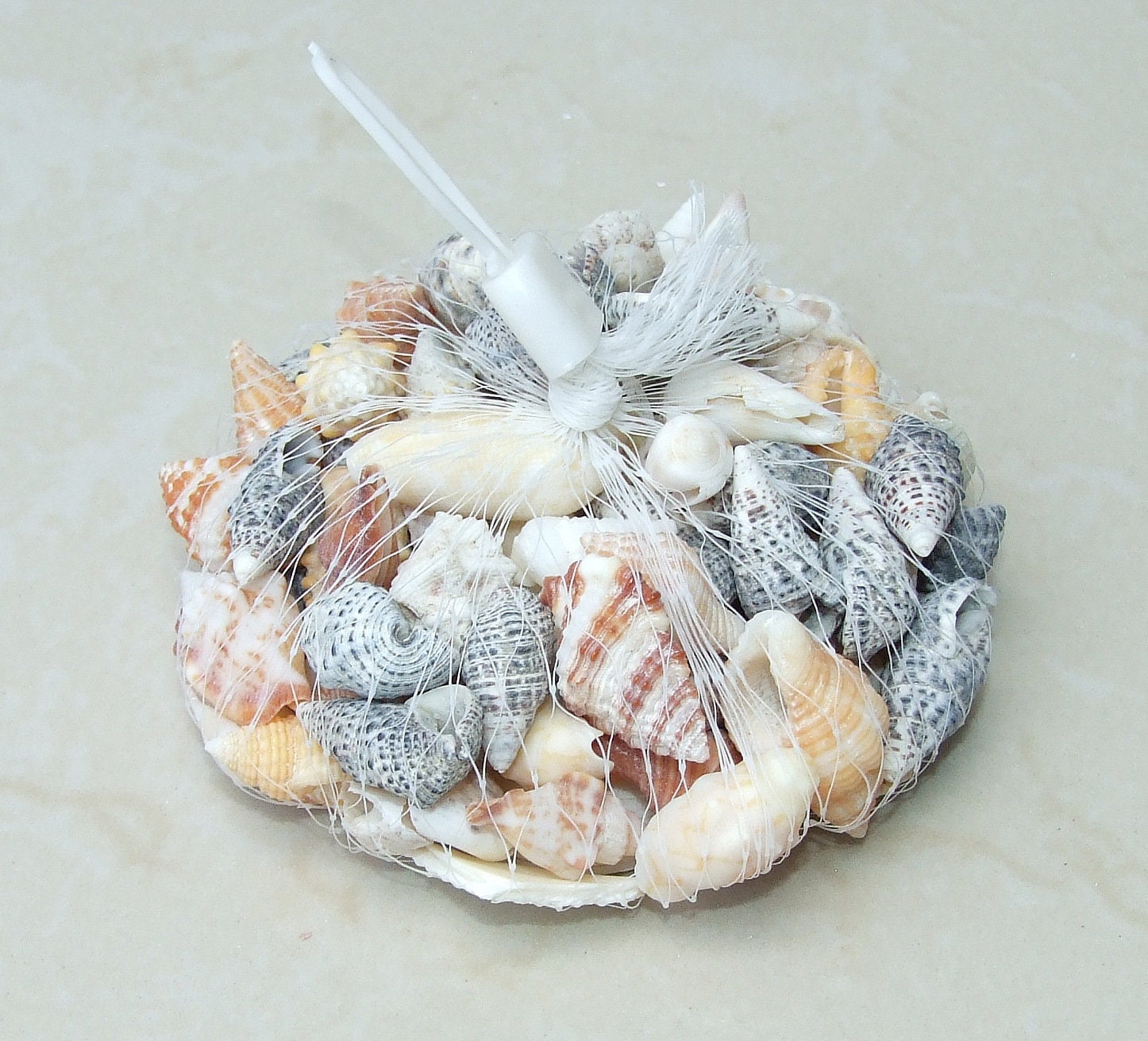 Net Full of Shells Mixed Natural Seashells Spiral Shells - Etsy