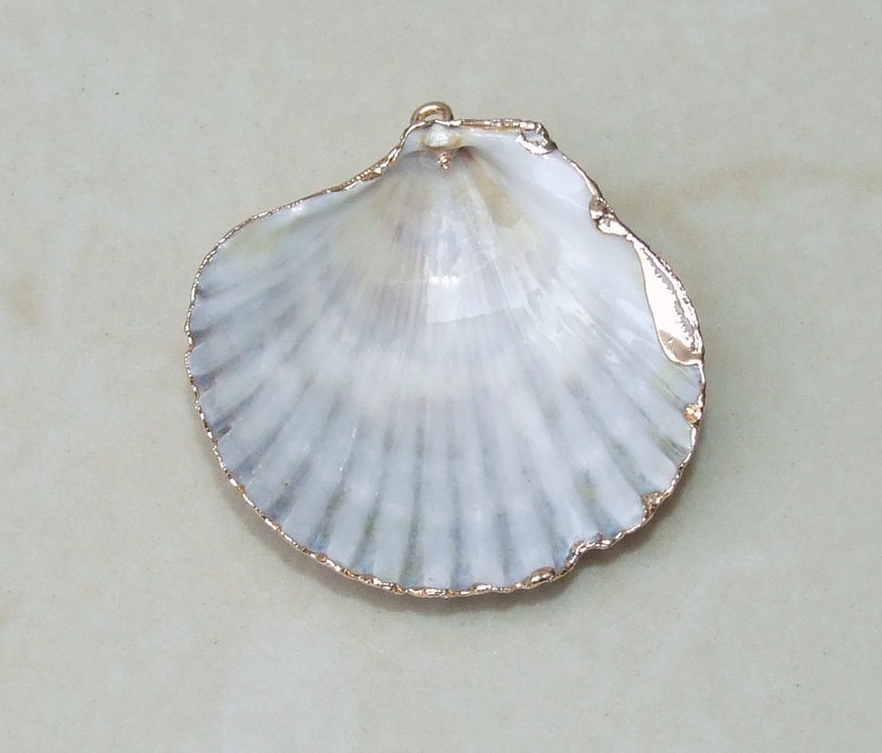 Natural Scallop Shell Pendant, Gold Edge, Deep Sea Shell, Shell ...