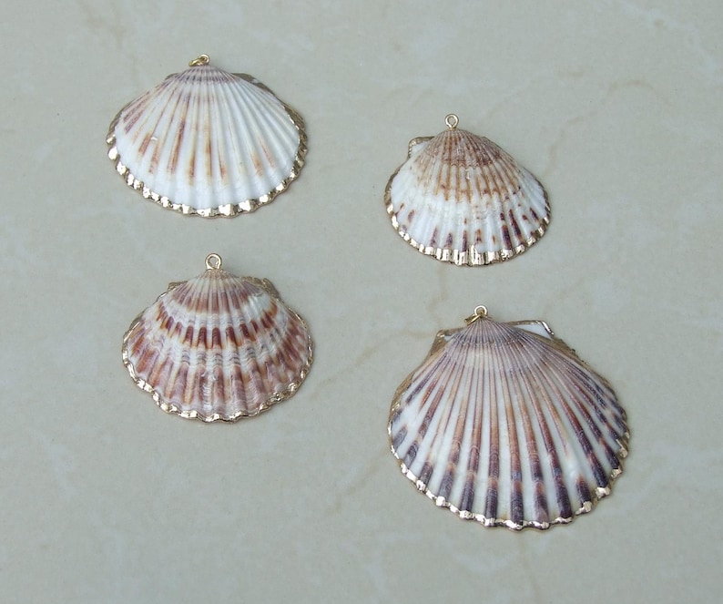 Natural Scallop Shell Pendant, Gold Edge, Deep Sea Shell, Shell ...