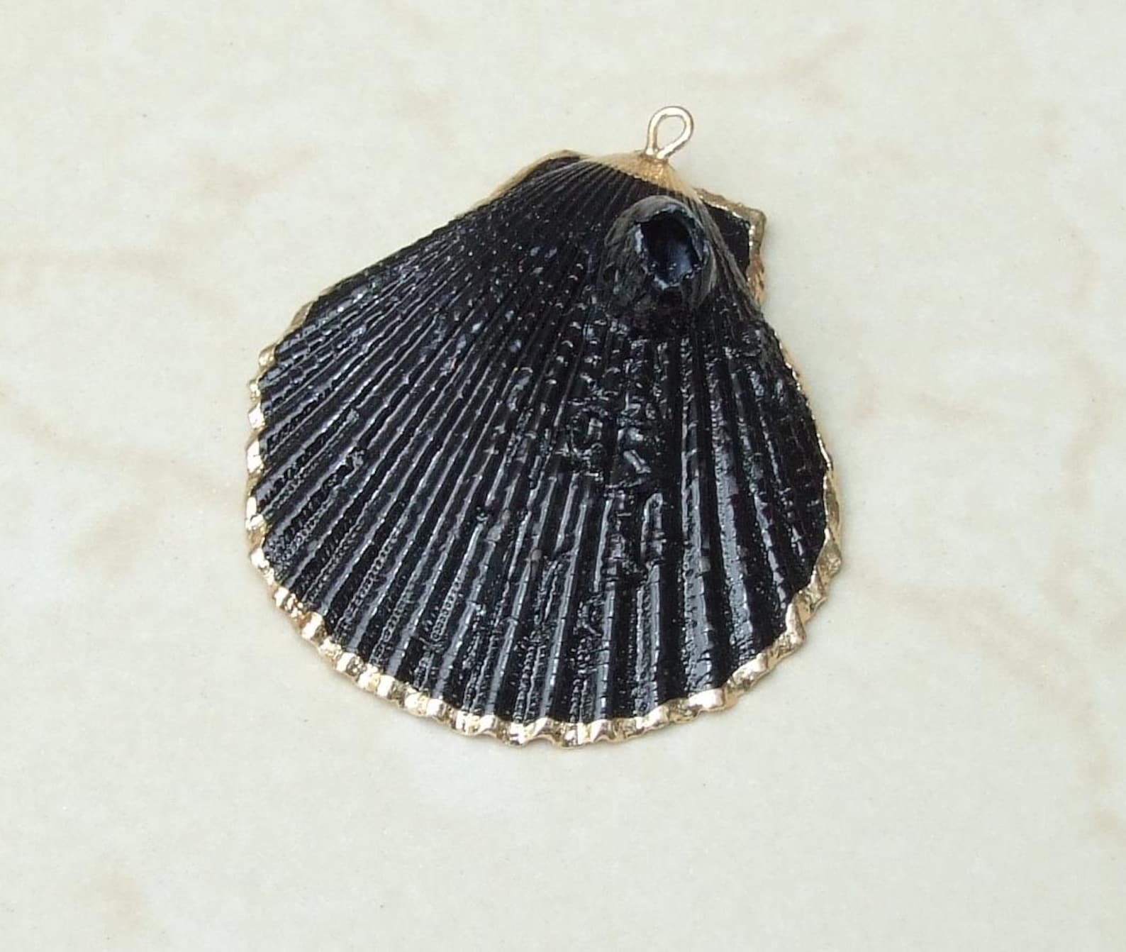 Barnacles, Shell Pendants With Barnacles, Color Washed Scallop Shell ...