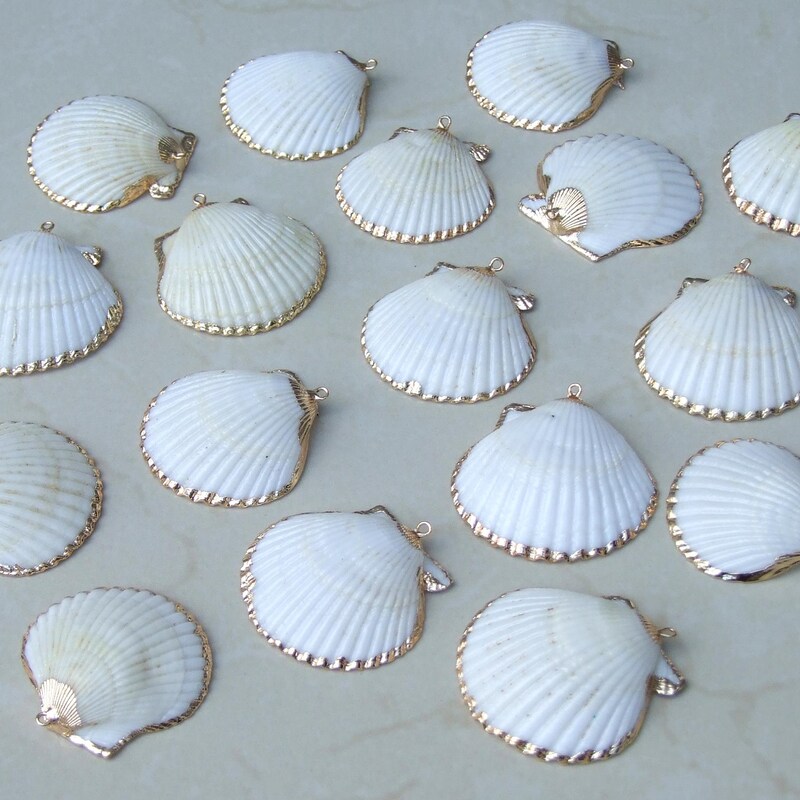 Clam Shell Beads - Etsy