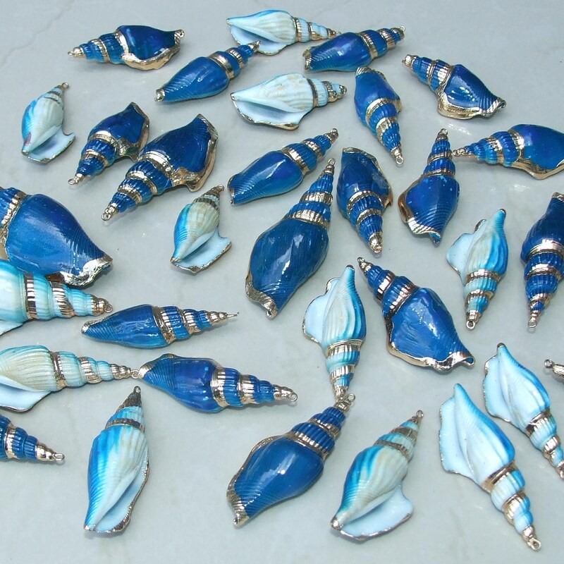 Shell Beads - Etsy