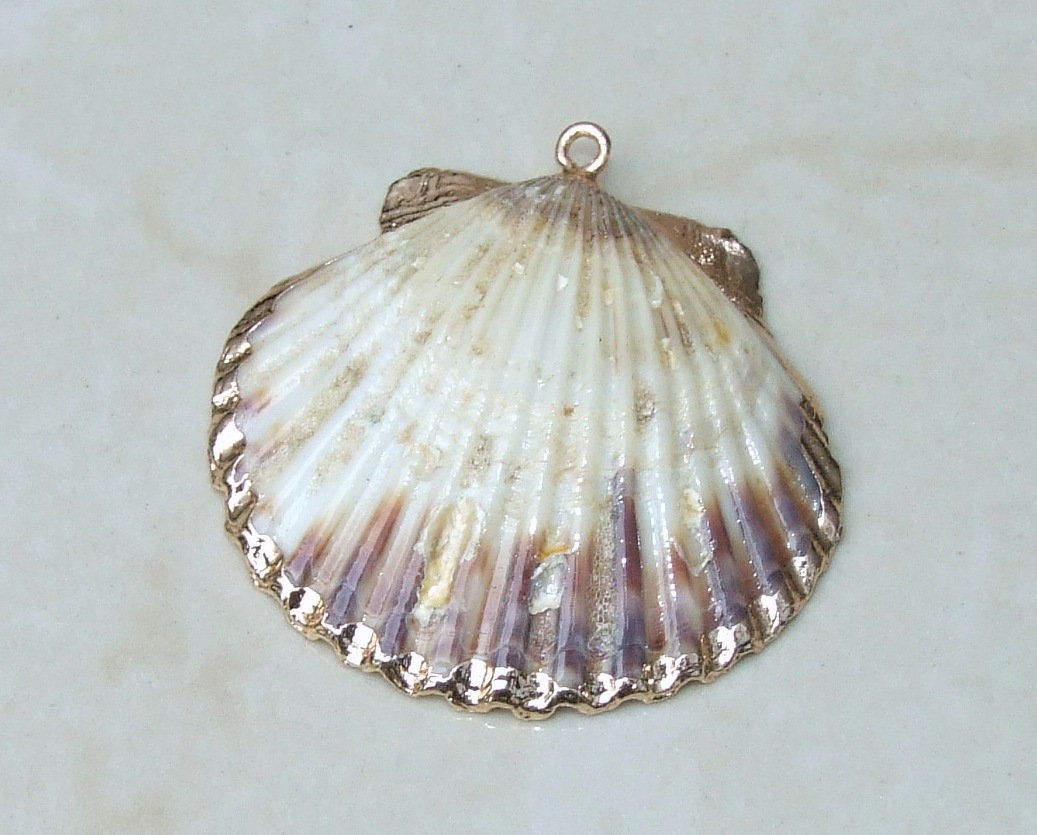 Natural Scallop Shell Pendant, Gold Edge, Deep Sea Shell, Shell ...
