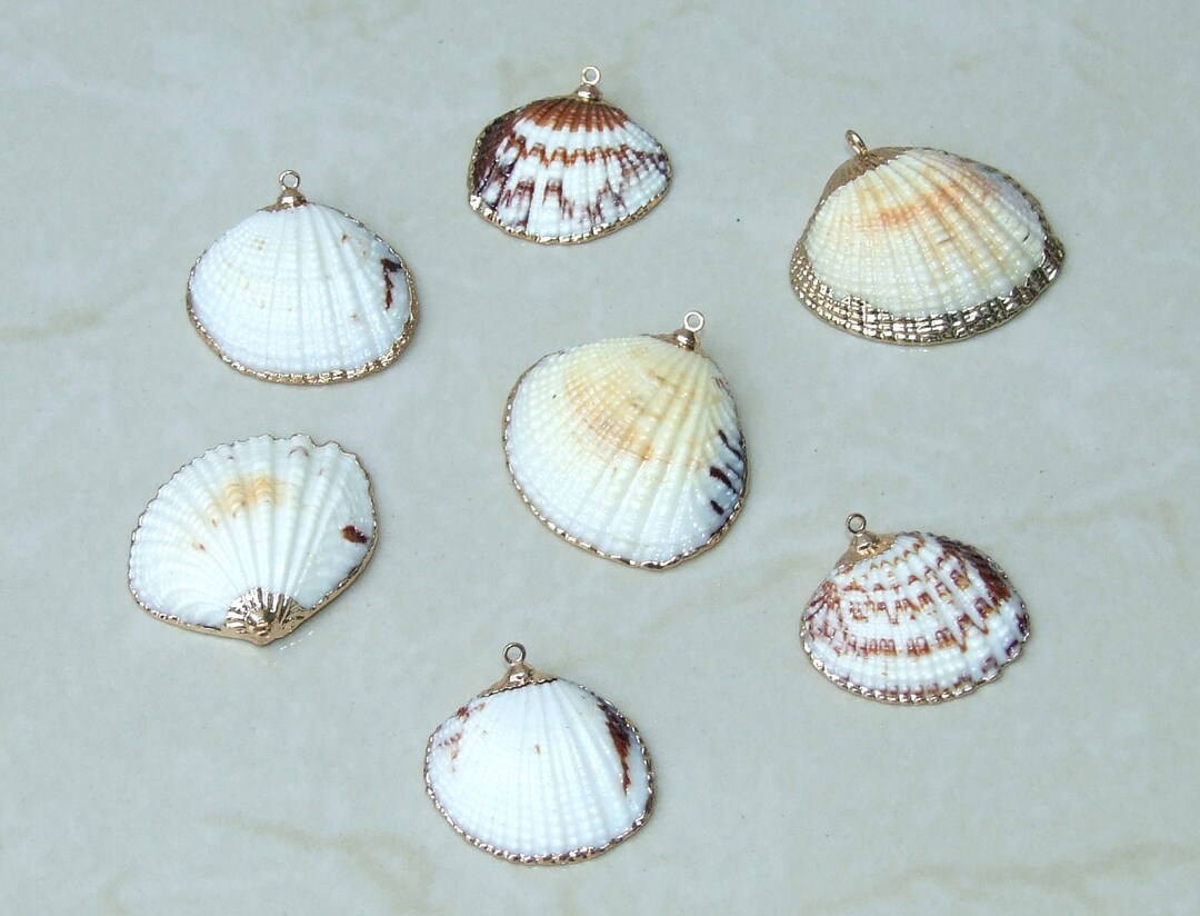 Natural Clam Shell Pendant, Gold Edge Loop, Natural Seashell, Deep Sea ...