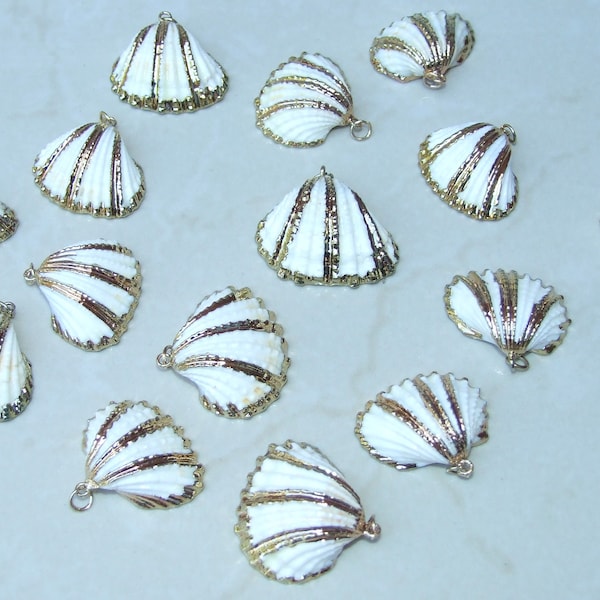 Clam Shell Beads - Etsy