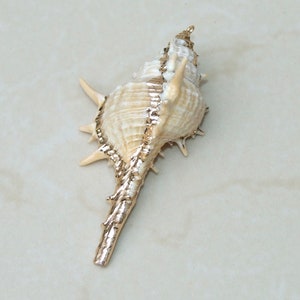 Gold Leaf Murex Seashell Pendant, Spiral Shell Bead, Beach Decor (35 ...