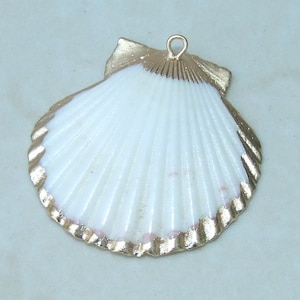 Natural Scallop Shell Pendant, Gold Edge Loop, Seashell Pendant ...