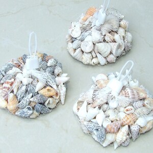 Net Full of Shells, Mixed Natural Seashells, Spiral Shells, Clam Shells ...