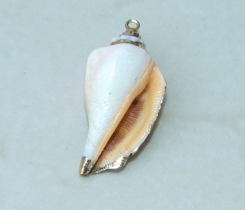 Hand Painted Gold Edge Natural Spiral Sea Shell Pendant, Spiral Shell ...