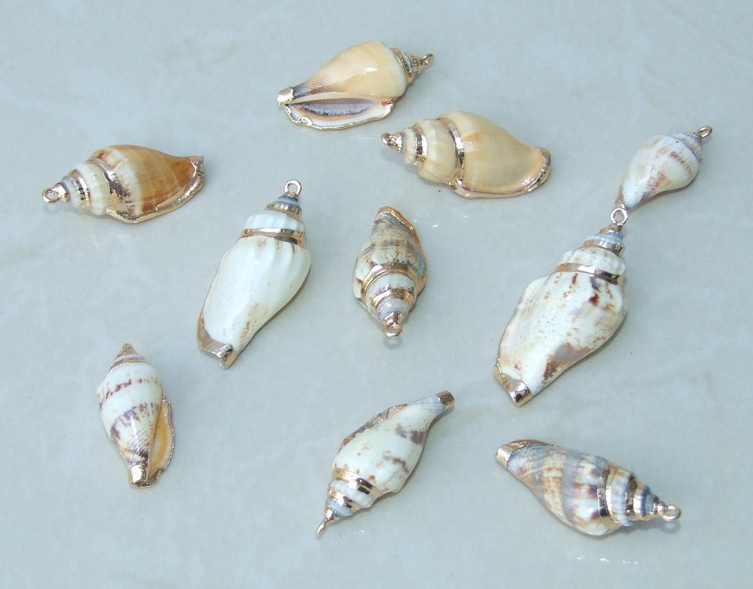 Gold Edge Natural Spiral Sea Shell Pendant, Spiral Shell Bead, Seashell ...