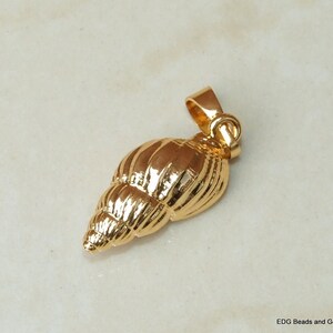 Gold Plated Sea Shell - Natural Sea Shell - Spiral Shell Pendant ...