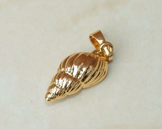 Gold Plated Sea Shell Natural Sea Shell Spiral Shell - Etsy