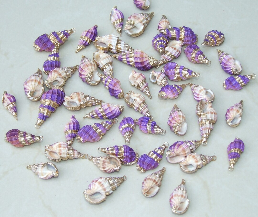 Natural Gold Edge Spiral Sea Shell Pendant, Spiral Shell Bead, Seashell ...