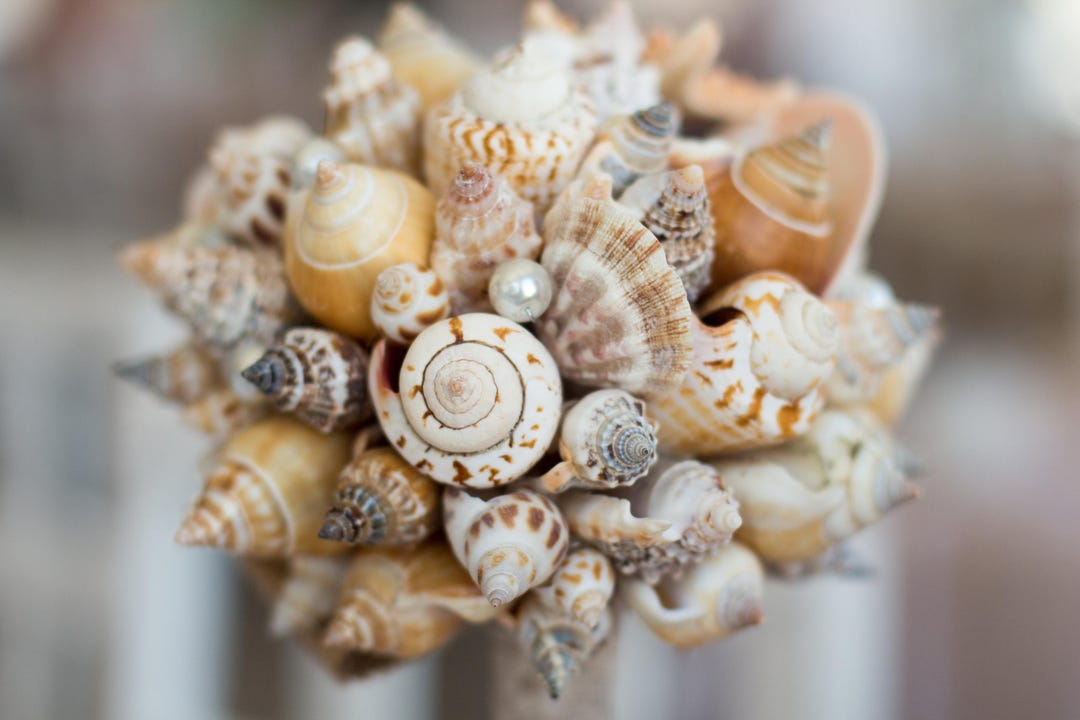 Sea Shell Bouquet, Bridal Bouquet Sea, Bridesmaid Bouquet, Beach ...