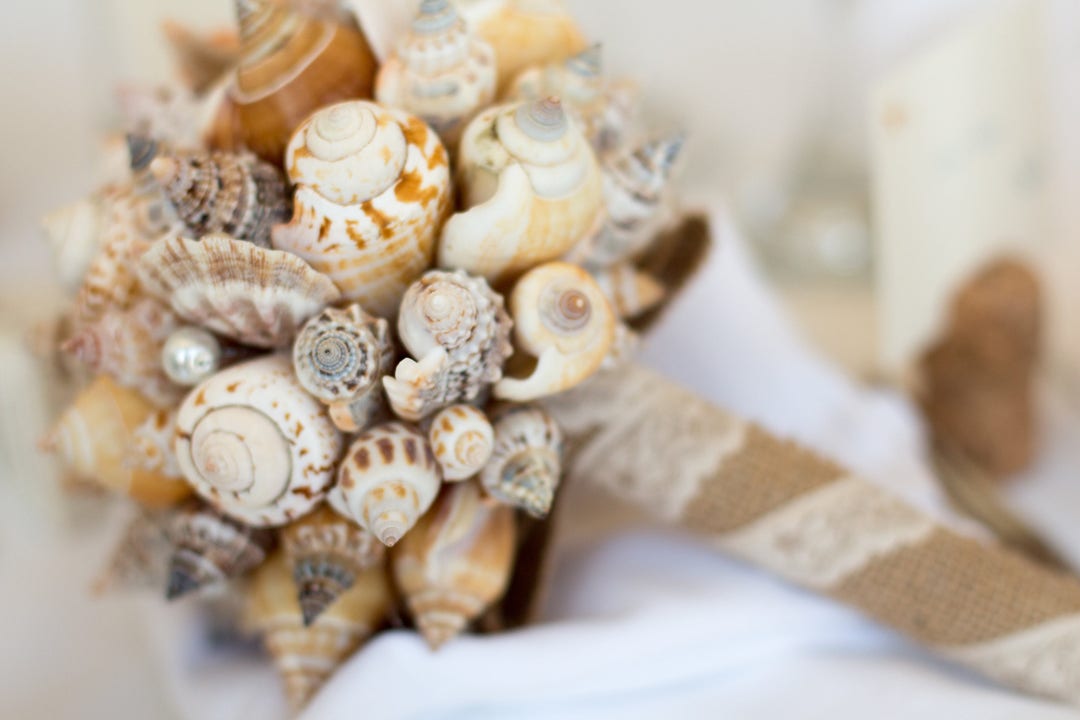 Shell Bouquet, Bridal Bouquet Sea, Bridesmaid Bouquet, Beach Wedding ...