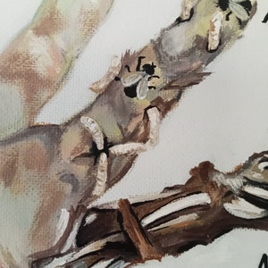 5 Stages of Decomposition Acrylic on Canvas Painting Decay Illustration ...