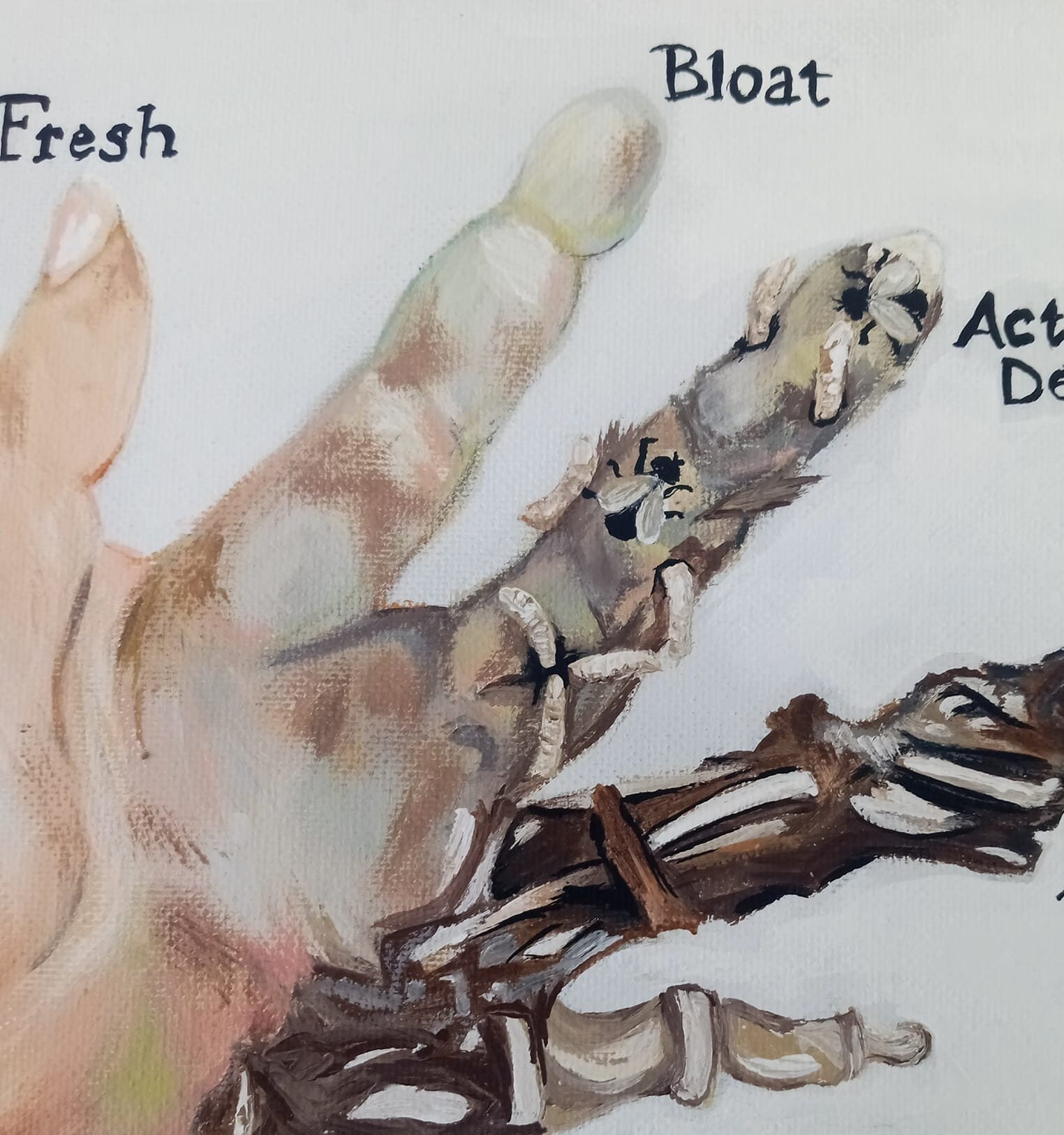 5 Stages of Decomposition Acrylic on Canvas Painting Decay Illustration ...