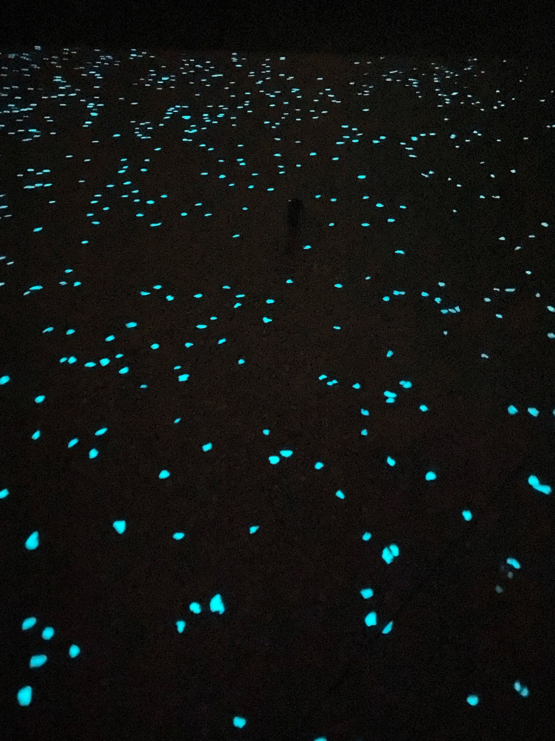 Polyglow™ Glow in the Dark Stones 30 Grams Marine - Etsy