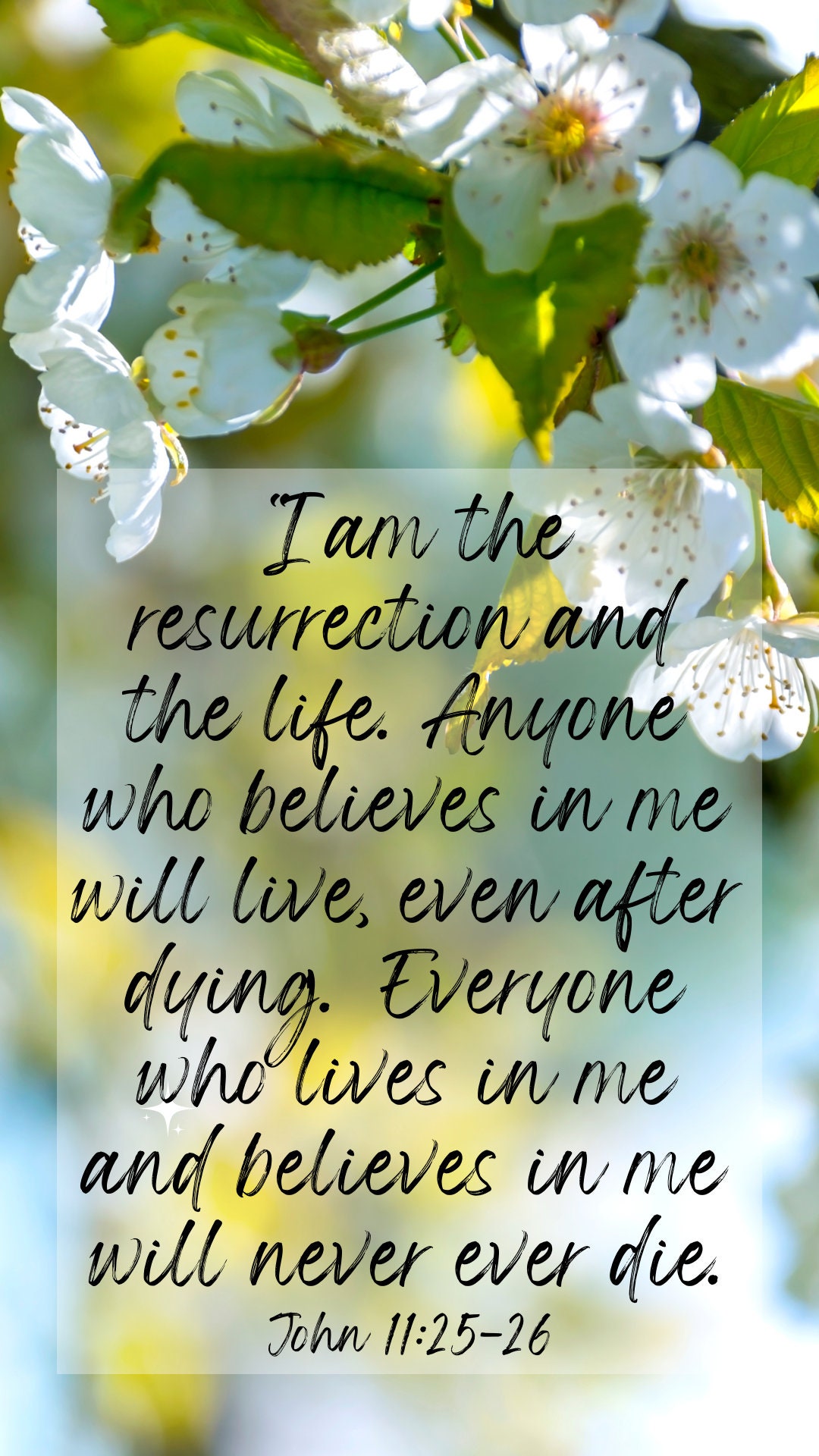 I Am the Resurrection and the Life..., John 11:25 Phone Wallpaper - Etsy