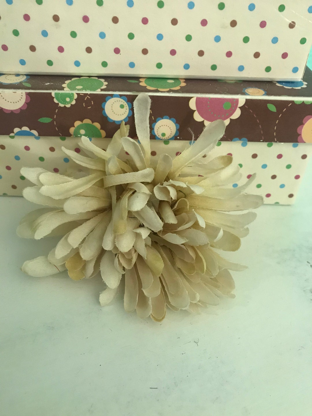 Large Light Brown Mums - Etsy
